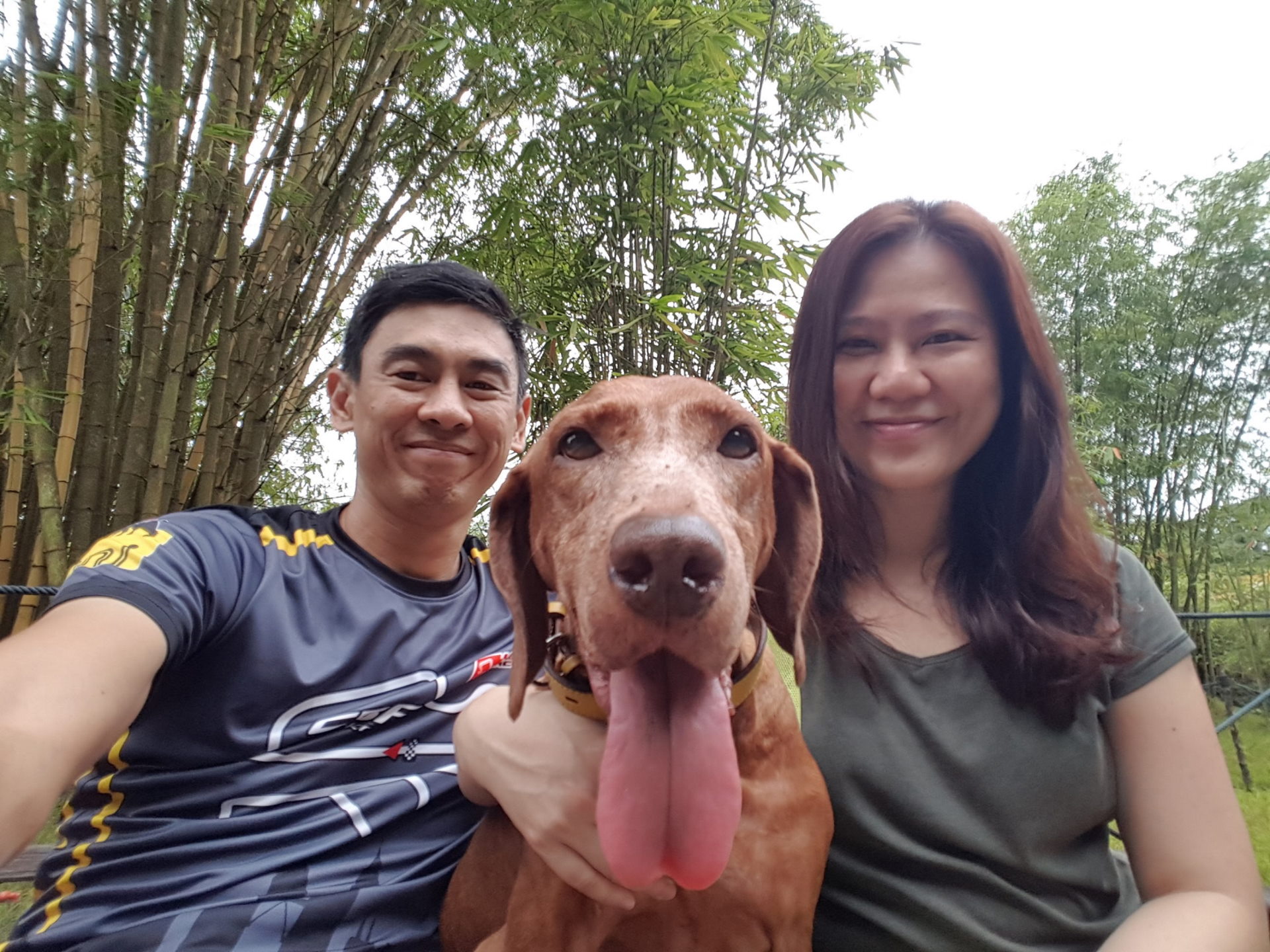 RETIRED SAF DOG GETS NEW LEASE OF LIFE